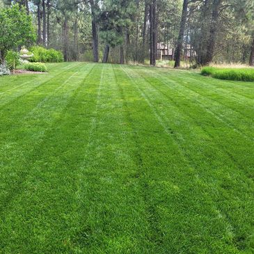 Evergreen Lawn Care Spokane
